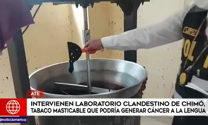 Ate: Intervienen un laboratorio clandestino de Chimó, tabaco masticable ...