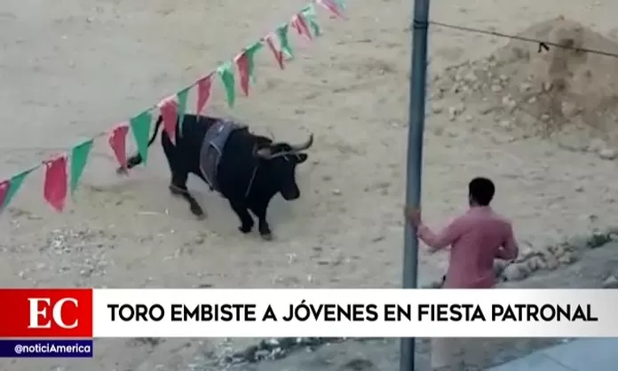 Ayacucho: Toro embiste a jóvenes en fiesta patronal