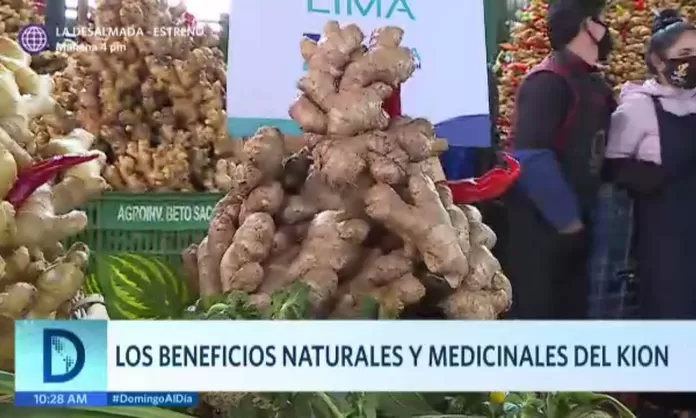 Los beneficios naturales y medicinales del kión