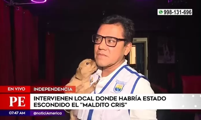 Caso maldito Cris: Alcalde de Independencia mostró a perrito rescatado ...
