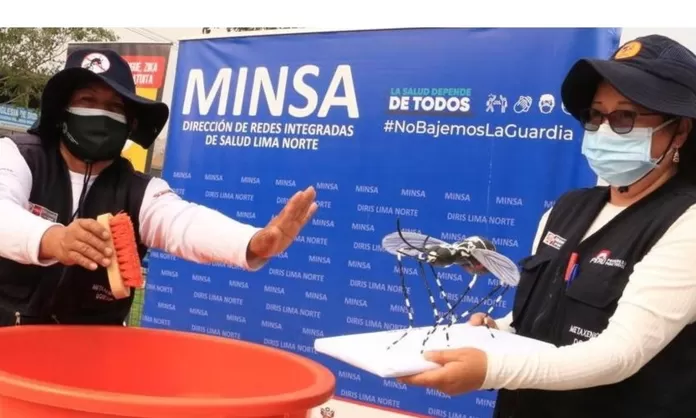 Dengue en Perú: ¿Cuál es el mosquito transmisor y cómo evitar el contagio?