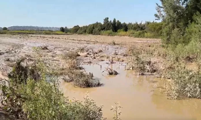 Agricultores de Ocucaje afectados por desborde de río Ica