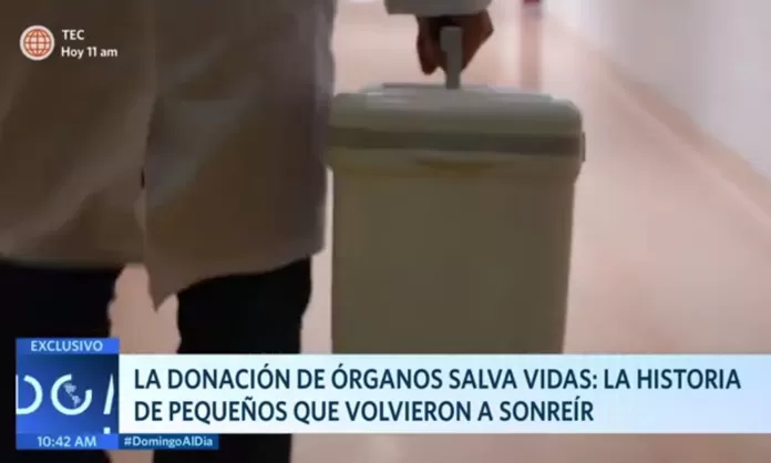 La donación de órganos salva vidas: La historia de niños que volvieron ...