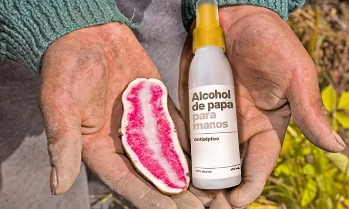 Vodka peruano producirá alcohol antiséptico de papas nativas para ...