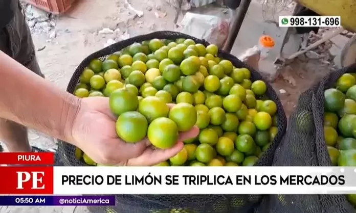 Piura: Precio del limón se triplica en los mercados