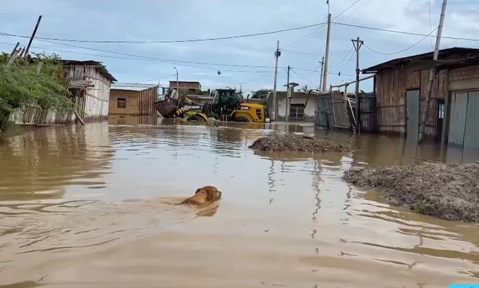 Tumbes: Río Zarumilla deja más de 65 viviendas inundadas