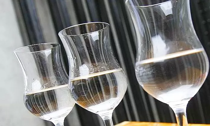 Día del Pisco: estas son sus variedades y los tipos de cepa