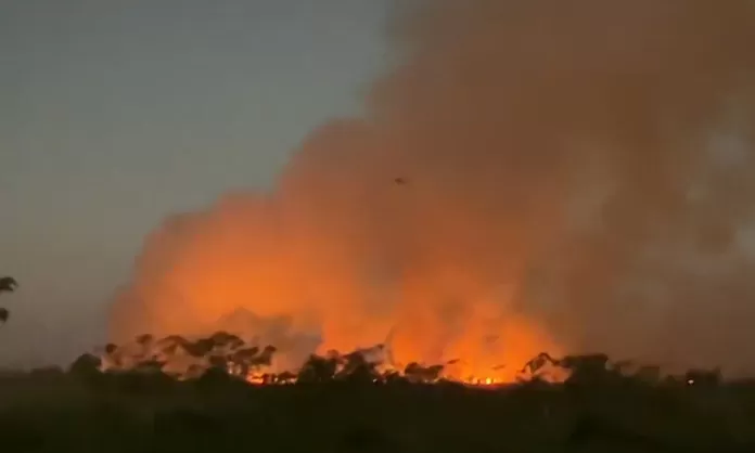 Ucayali: incendio forestal avanza en Manantay sin control