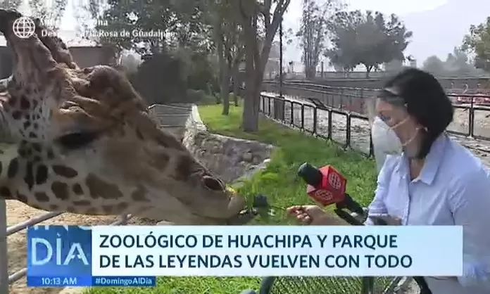 Zoológico de Huachipa y Parque de Las Leyendas vuelven con todo