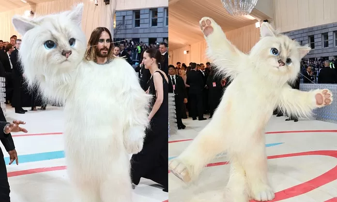 Jared Leto y la poderosa razón por la que llegó disfrazado de gato al ...