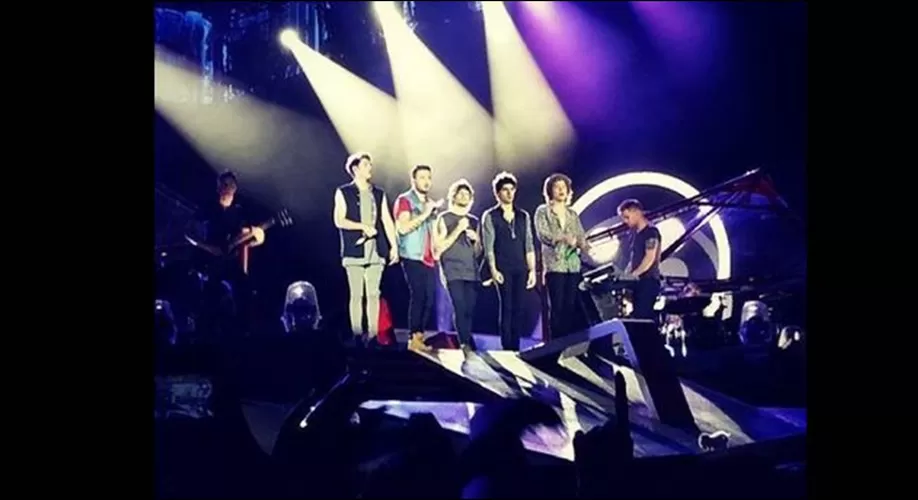 One Direction: el multitudinario concierto de la banda en Milan ...