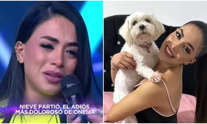 Onelia Molina: conductor atropelló a mascota no se detuvo