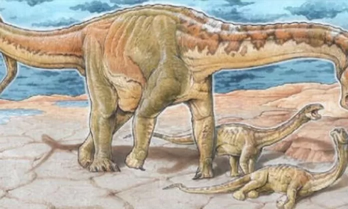 Argentina: hallan restos de una especie de dinosaurio nunca antes vista