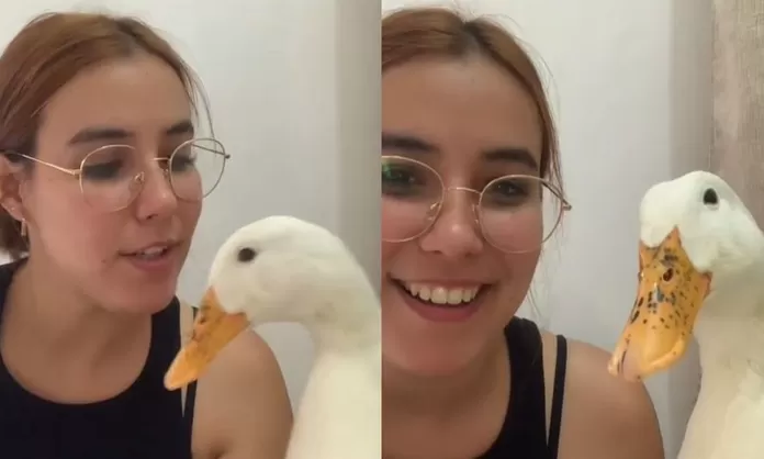 Video de pato sonriendo se hizo viral