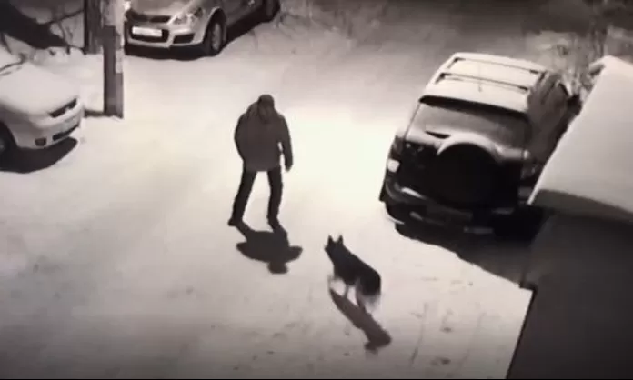 YouTube viral: hombre ebrio patea a perro y tiene insólito final