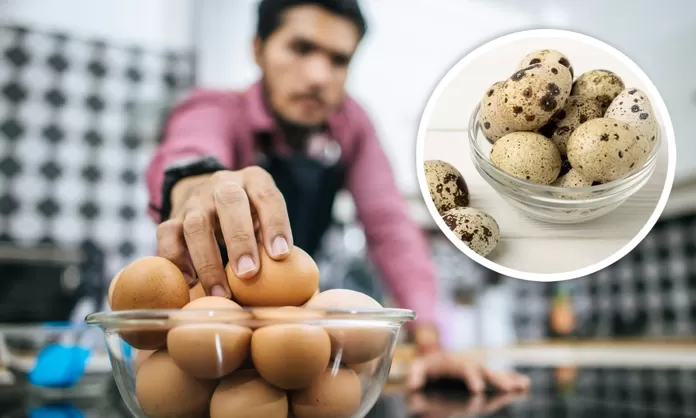 Beneficios del huevo codorniz o gallina