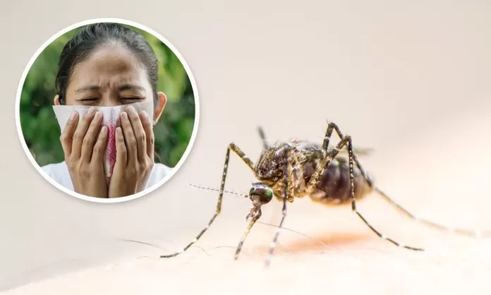 Dengue hemorrágico: qué es, causas, síntomas y tratamiento