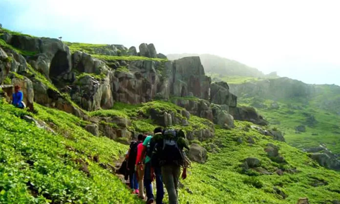 Lomas de Lúcumo: ¿cómo llegar y cuánto cuesta?