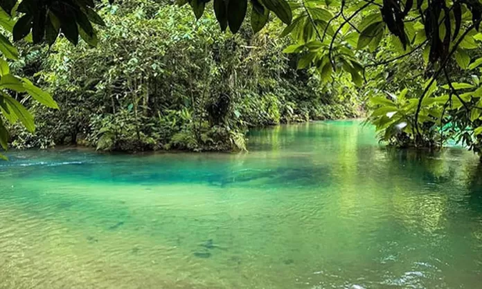 ¿Cómo llegar a estas pozas de agua turquesa en la selva peruana?