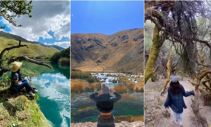 Vilca: ¿Cómo llegar al bosque encantado en Huancaya?