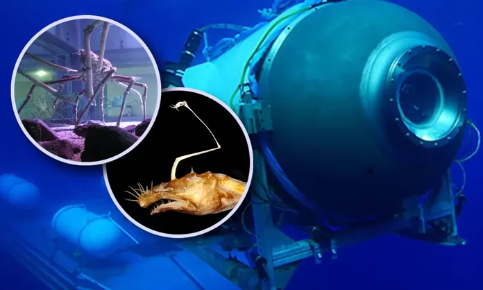 Submarino Titán: ¿Qué misterios esconde la profundidad del mar?