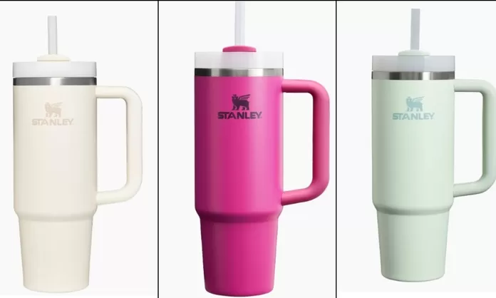 Vasos Stanley precio y opciones económicas